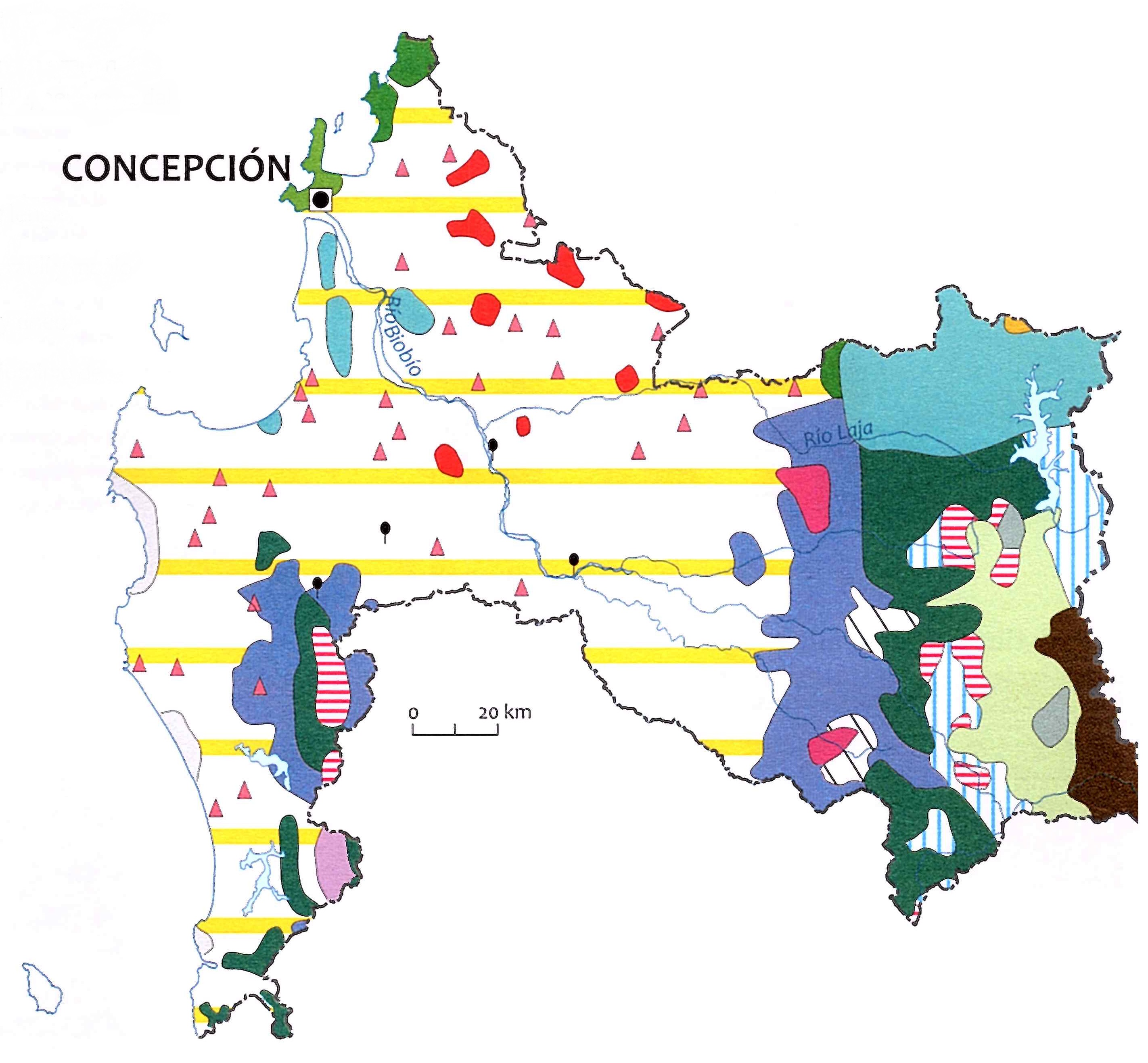 Juegos de Geografía | Juego de Fitogeografía Región del Biobío | Cerebriti